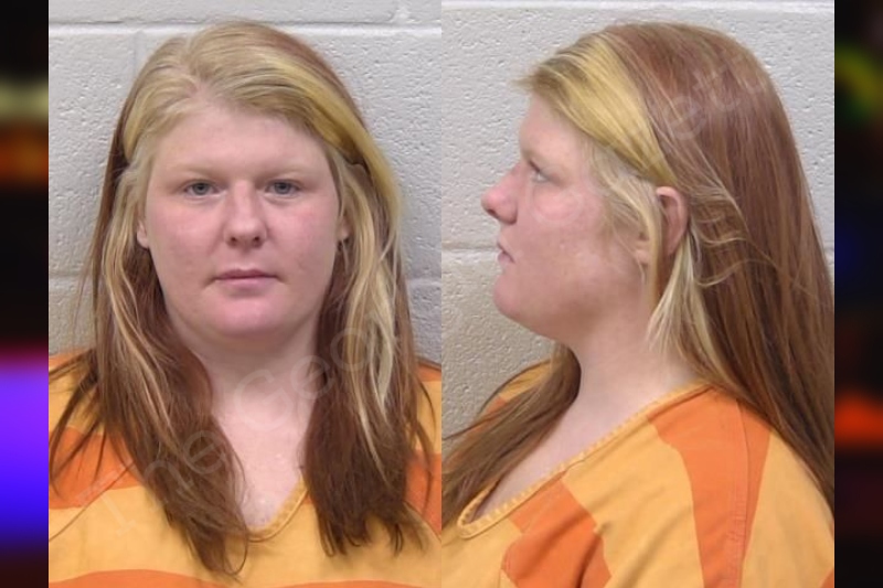 Mary Chatman — Paulding County Jail Bookings