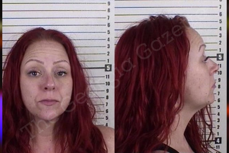 Tesla Christensen — Camden County Jail Bookings