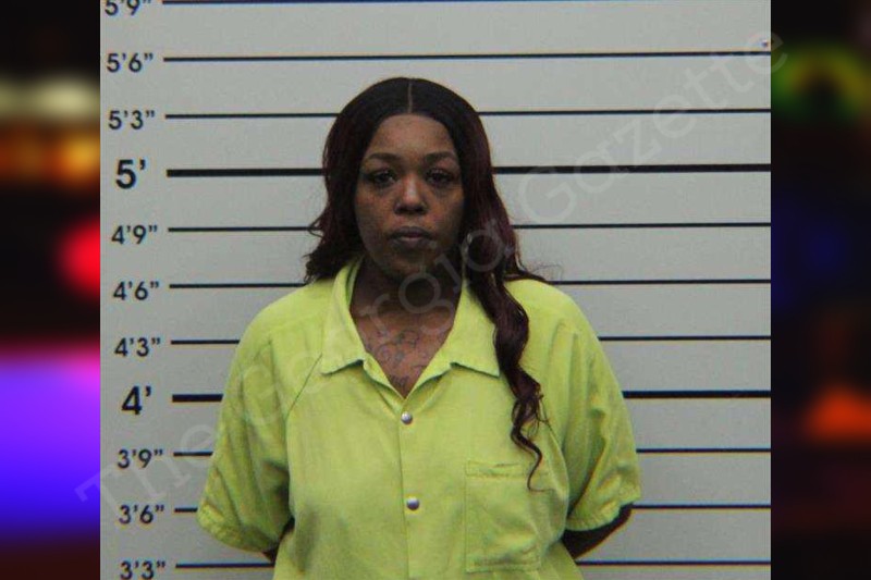 Ashley Church - Turner County