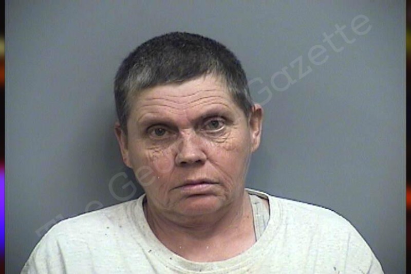 Kelly Colson — Effingham County Jail Bookings