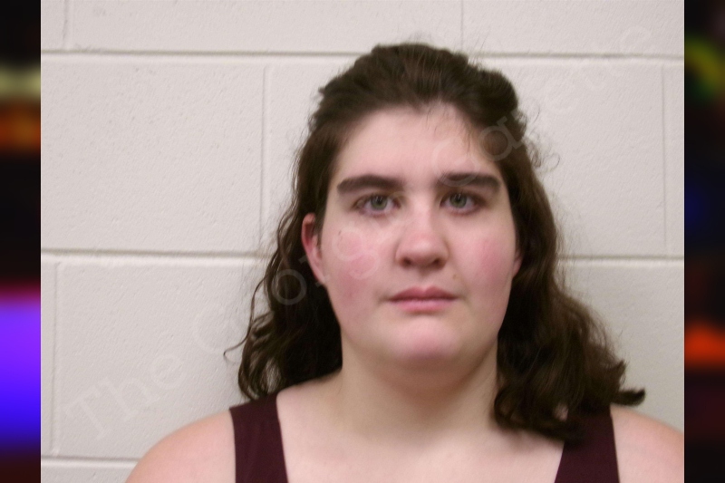 Dana Copeland — Bulloch County Jail Bookings