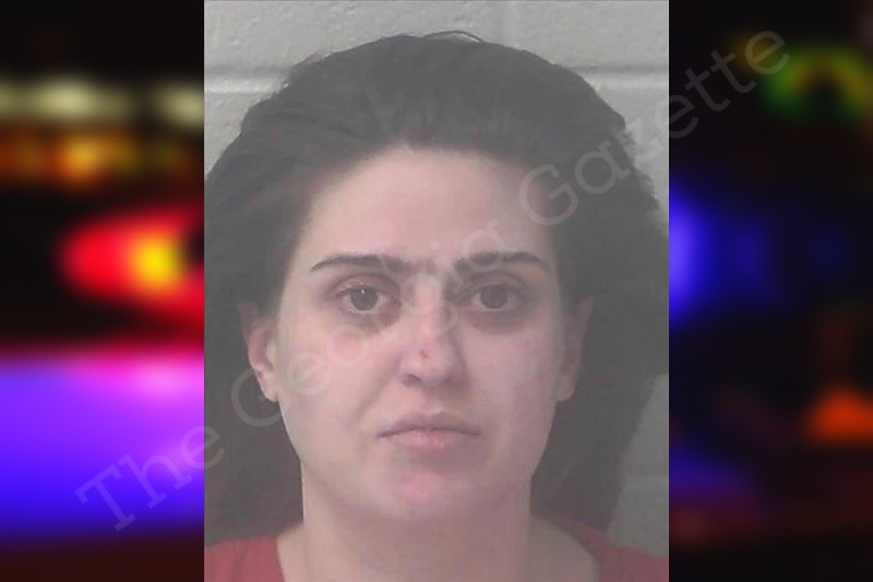 Jordan Dailey — Newton County Jail Bookings