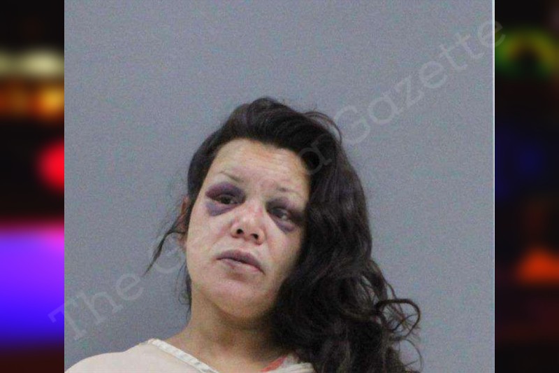 Ashley Davidson — Rabun County