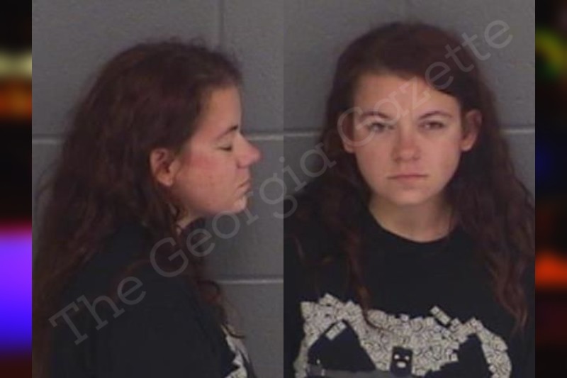 Jamie Davis — Barrow County Jail Bookings