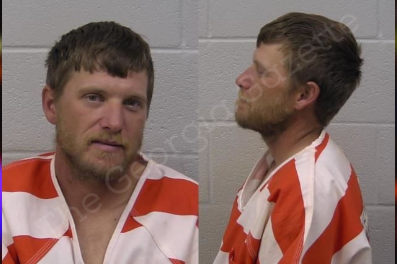 James Devane — Paulding County Jail Bookings