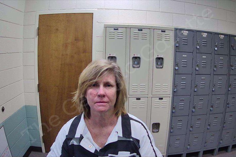 Holly Farr — Evans County Jail Bookings