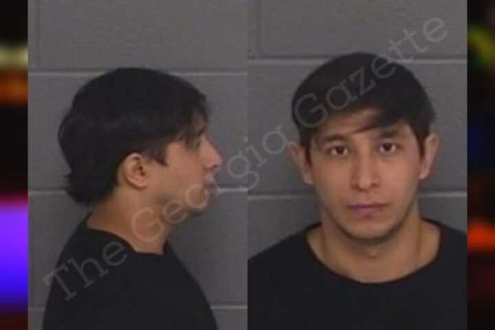 Jose Finol Leon — Barrow County Jail Bookings