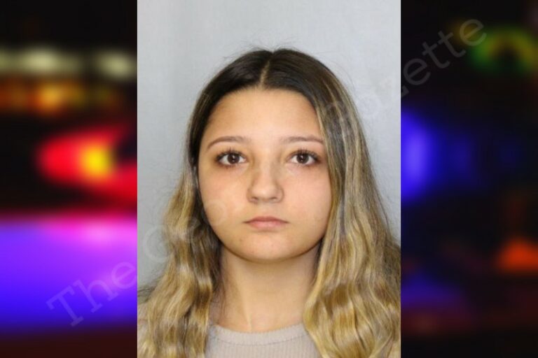 Kaylee George — Hall County Jail Bookings