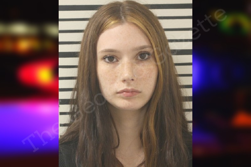 Airielle Gomez — Toombs County Jail Bookings