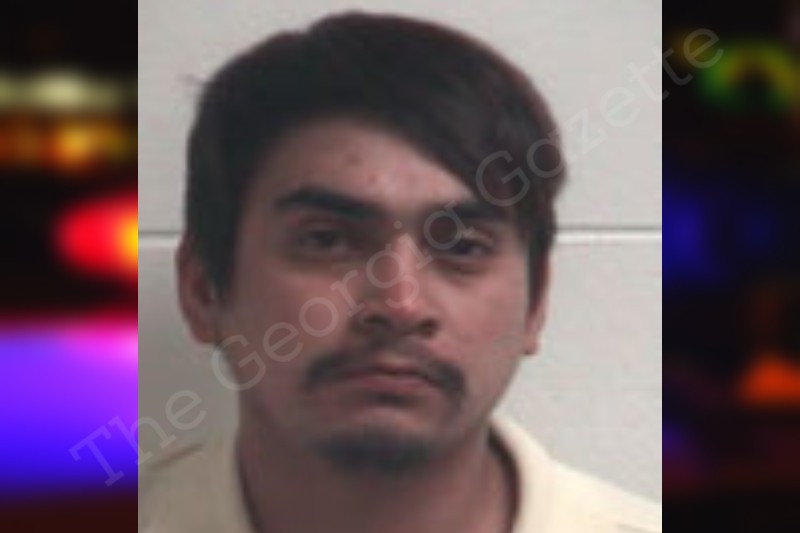 Ramiro Gonzales Mireles — Henry County Jail Bookings
