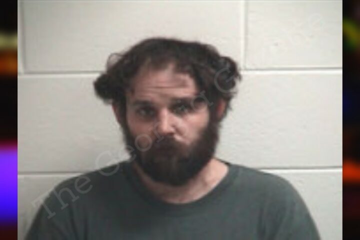 Randall Goodman — Henry County Jail Bookings