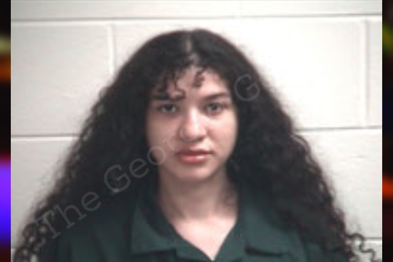 Katherine Goodwin — Henry County Jail Bookings