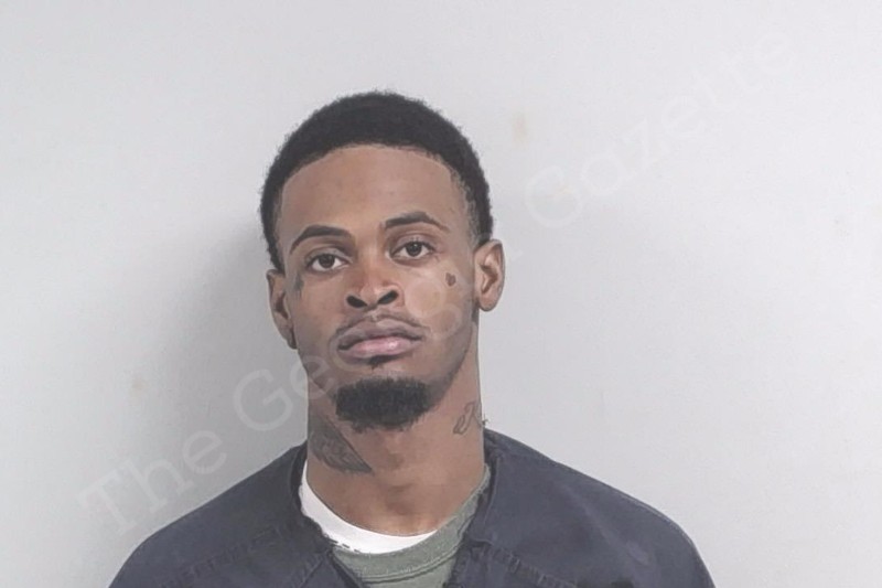 Lowndes County - Page 3 of 6197 - The Georgia Gazette