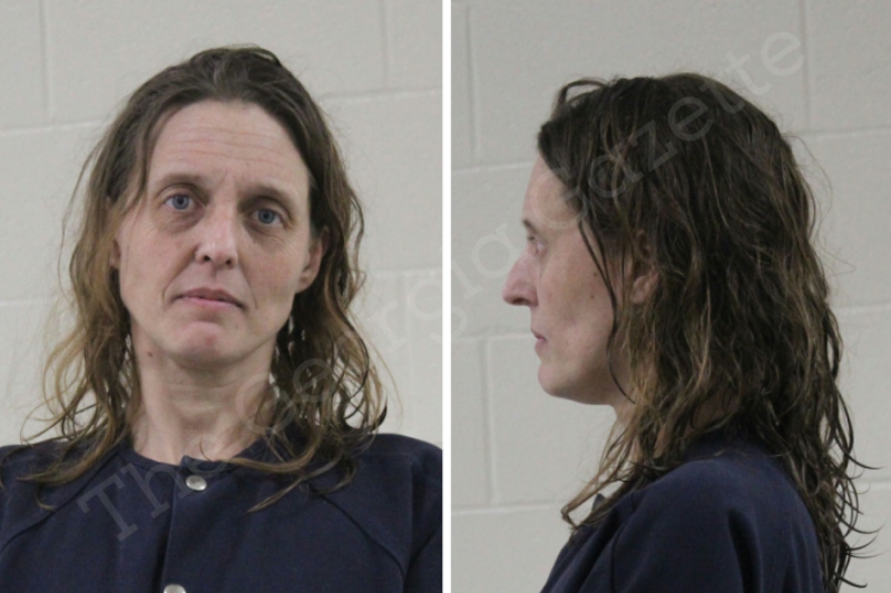 Kelli Gaines — Houston County Jail Bookings