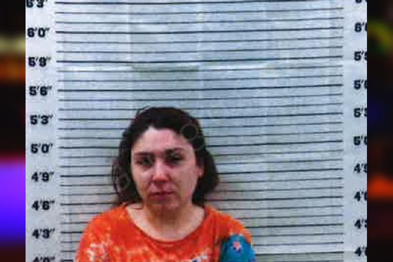 Elisa Garay — Pickens County Jail Bookings
