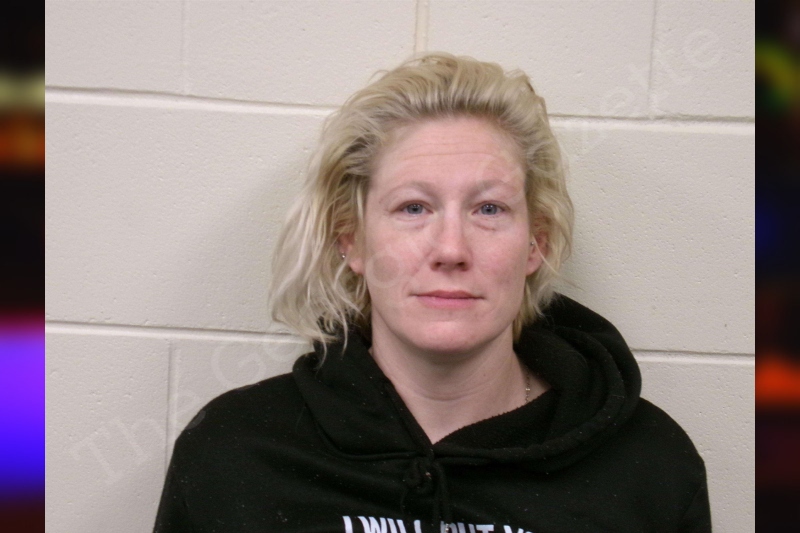 Anna Girardeau — Bulloch County Jail Bookings