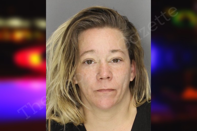 April Hackney — Cobb County Jail Bookings