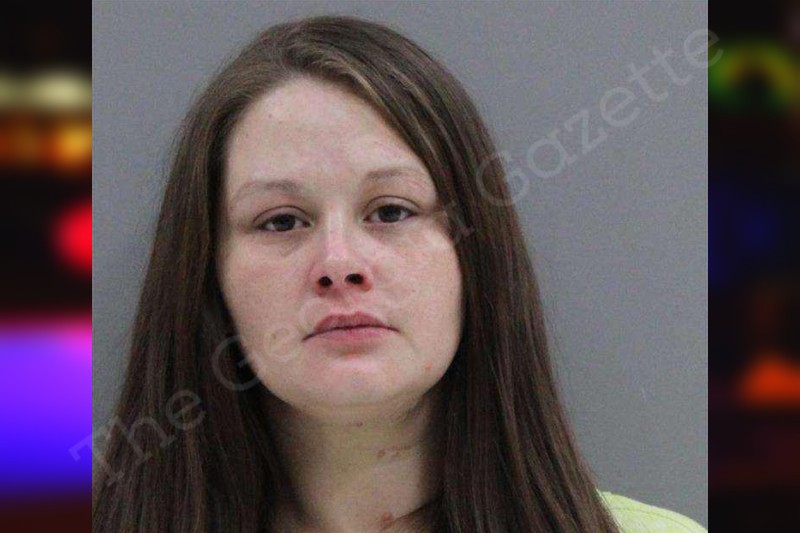 Tiffani Hodge — Rabun County Jail Bookings