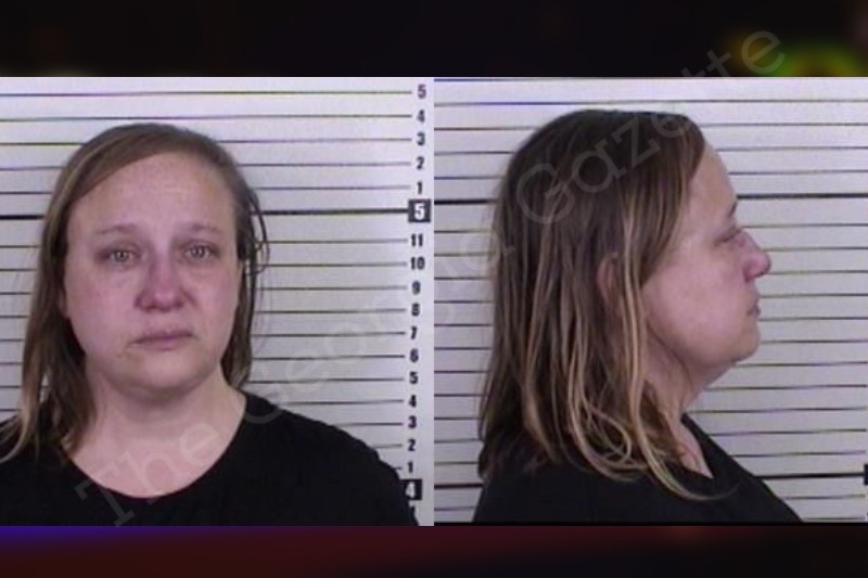 Crystal Handrich — Camden County Jail Bookings