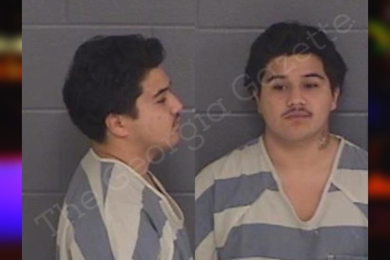 Mason Holman — Barrow County Jail Bookings