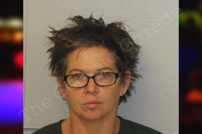 Amy Daugherty — McIntosh County Jail Bookings