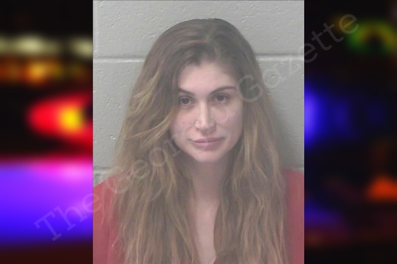 Skyler Jones — Newton County Jail Bookings