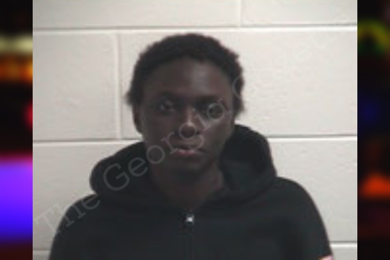 Banita Kah | Henry County Jail Bookings