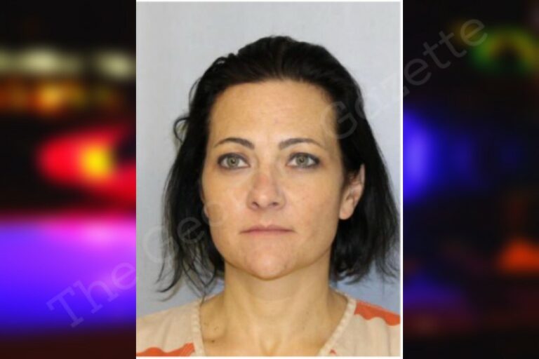 Brandee Little — Hall County Jail Bookings