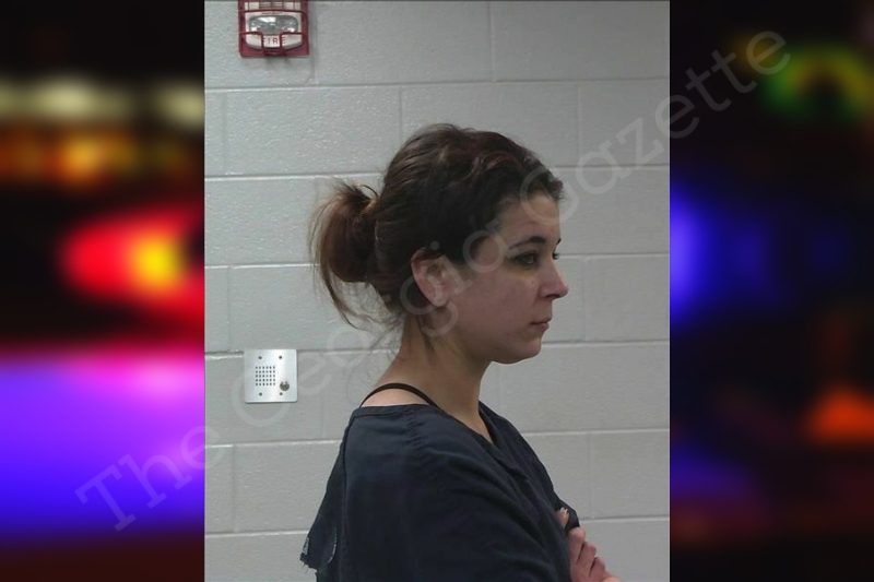 Taylor Lamb - Gilmer County