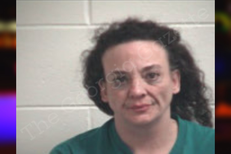 Lori Lomonaco — Henry County Jail Bookings