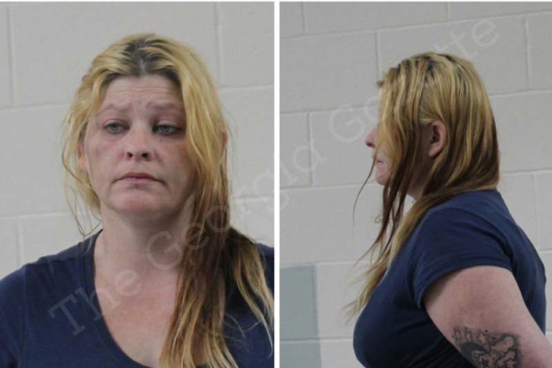 Toni Lowe — Houston County Jail Bookings