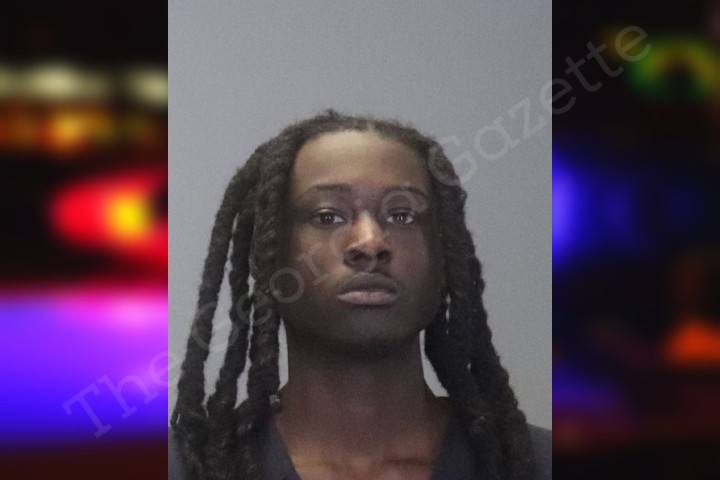 Jaleen Mathis — Muscogee County Jail Bookings