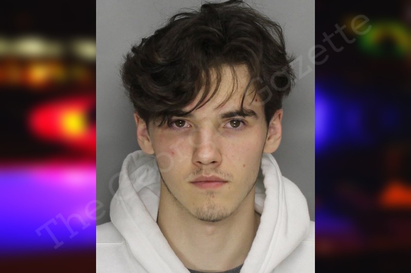 Aiden McKneely — Cobb County Jail Bookings