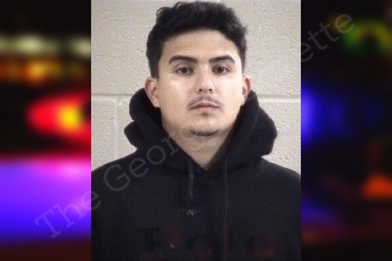 Alexis Magana — Whitfield County Jail Bookings