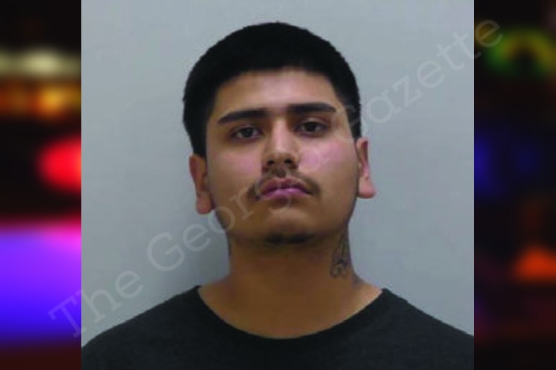 Alexis Martinez — Bartow County Jail Bookings