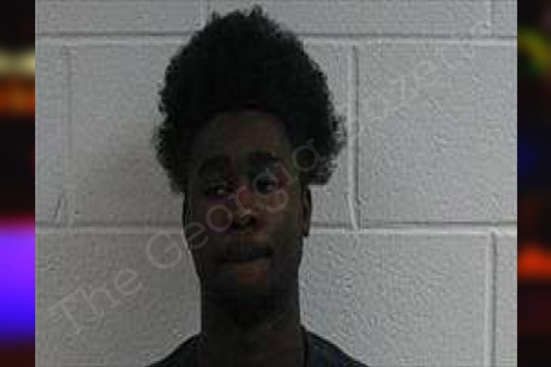X-Zavier McLendon - Polk County