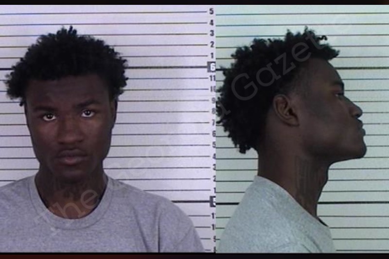 Ryan Milton — Camden County Jail Bookings