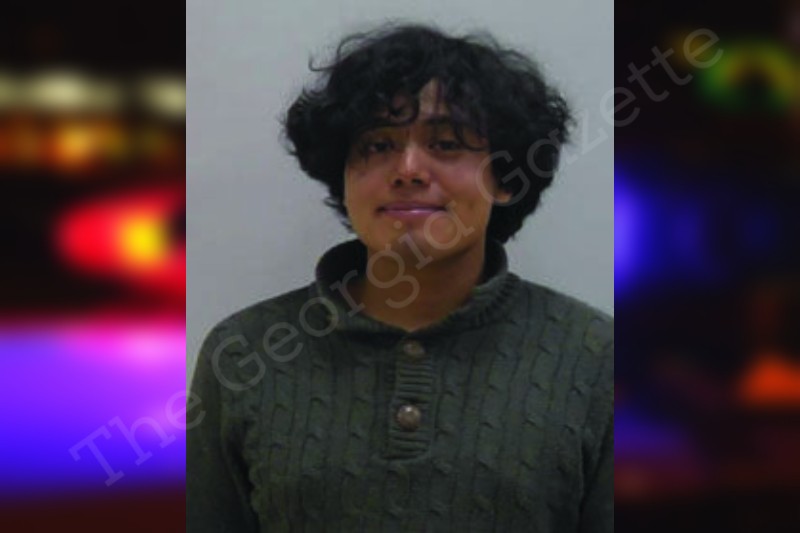 Julian Moreno — Bartow County Jail Bookings