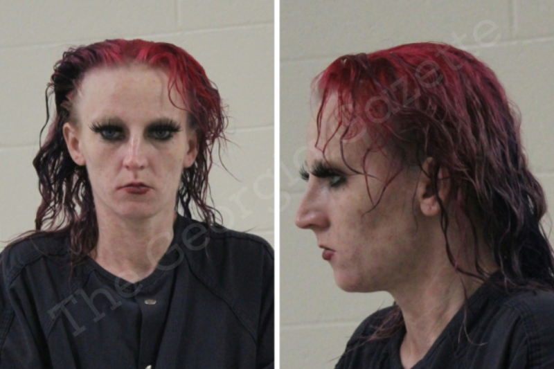 Amber Odom — Houston County Jail Bookings