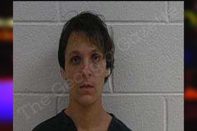 Daniel Oneal — Polk County Jail Bookings