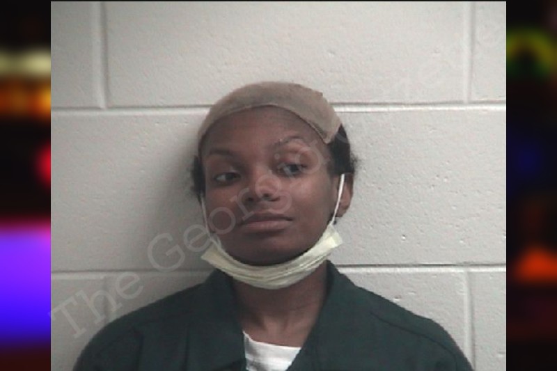 Erica Partridge — Henry County Jail Bookings