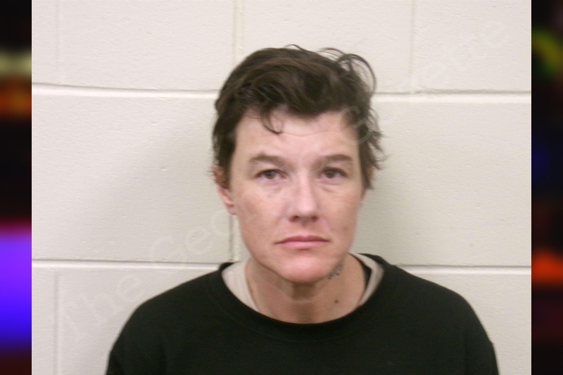 Nicole Patten — Bulloch County Jail Bookings