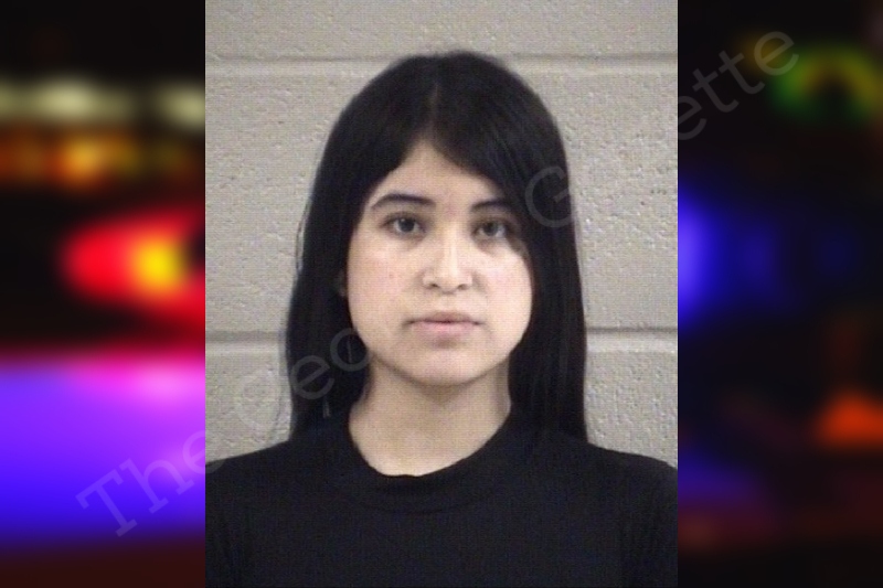 Maria Peinado — Whitfield County Jail Bookings