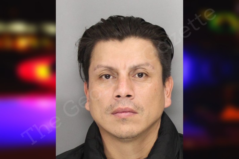 Noel Ramos — Cobb County Jail Bookings