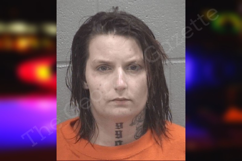 Brianna Redding — Columbia County Jail Bookings