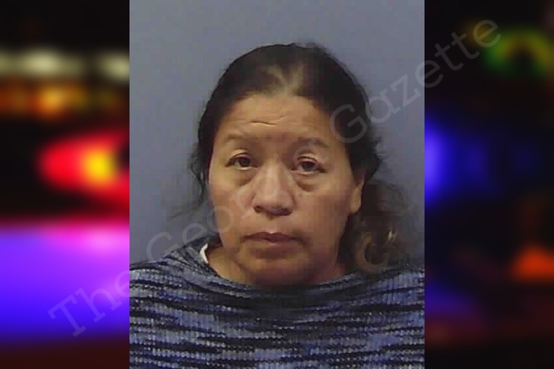 Ana Reyna — Chattooga County Jail Bookings