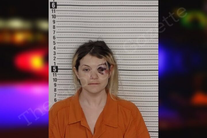 Rachel Reich — Rockdale County Jail Bookings