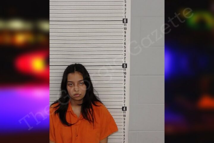 Jessica Rico — Rockdale County Jail Bookings
