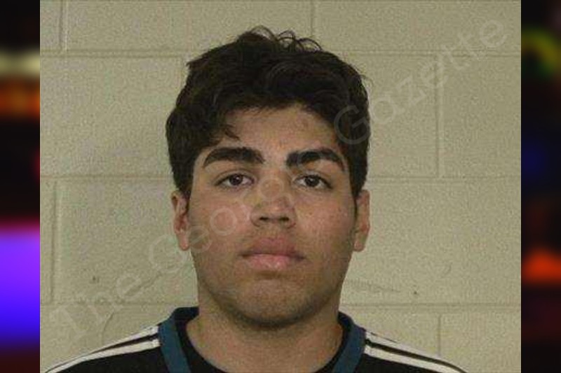 Wesley Rodriguez Diaz — Liberty County Jail Bookings