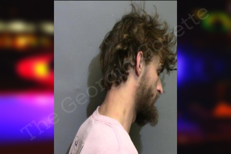 Wayne Rowe — Glynn County Jail Bookings